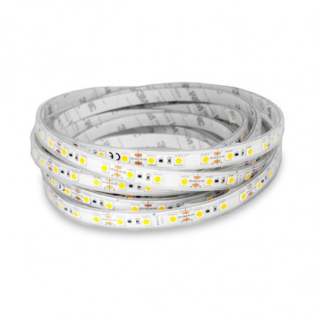 Bandeau LED 4000K 5 m 60 LED/m 62W IP67 - 24V - GARANTIE 5 ANS (751671)